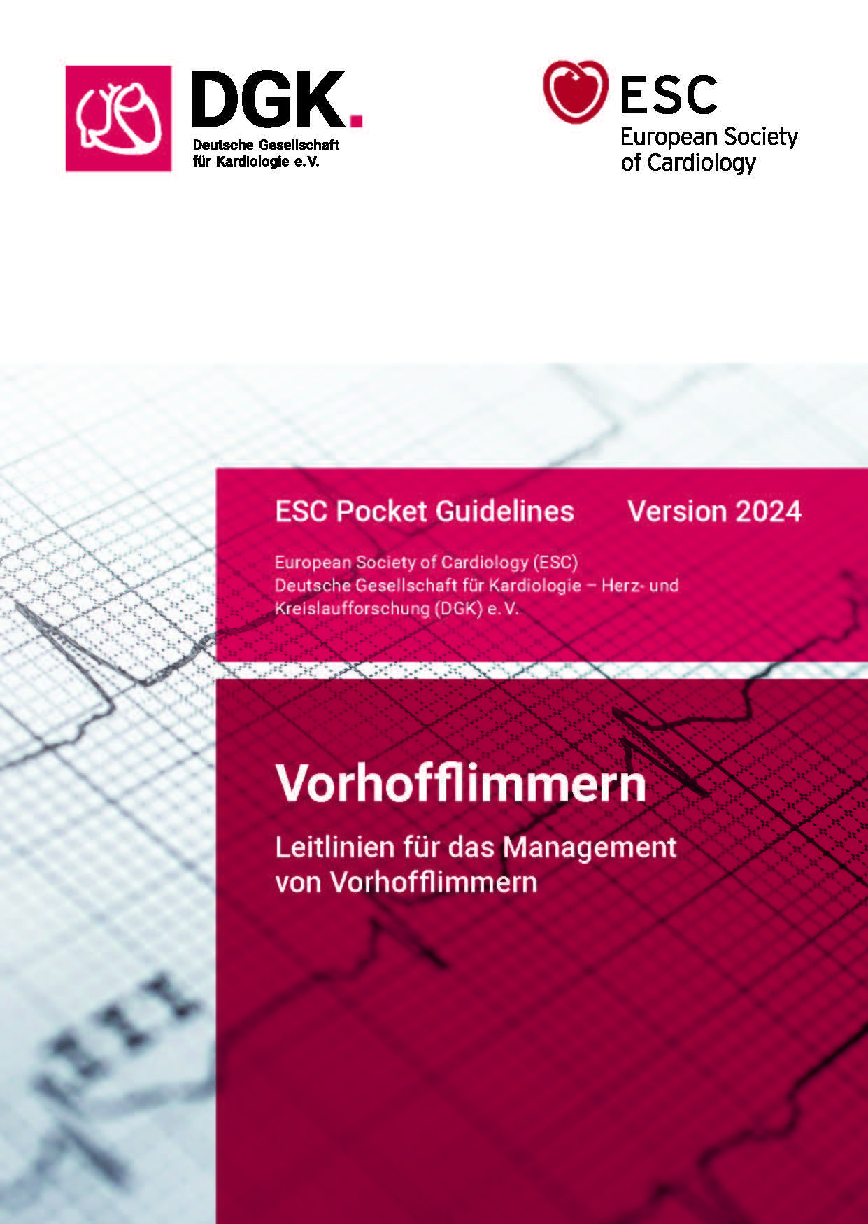 Pocket-Leitlinie: Vorhofflimmern (Version 2024)